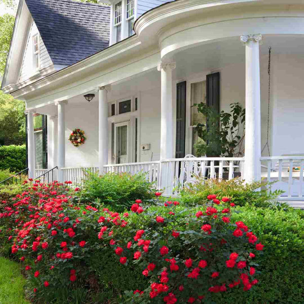 The Perfect Southern Candle for Every Occasion - Southern Elegance